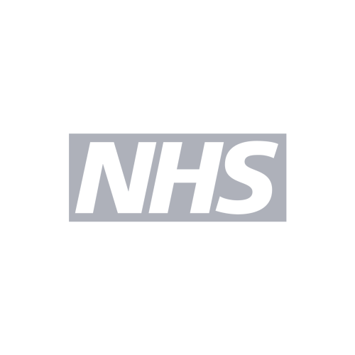 Dataiku Interactive Data Sheet