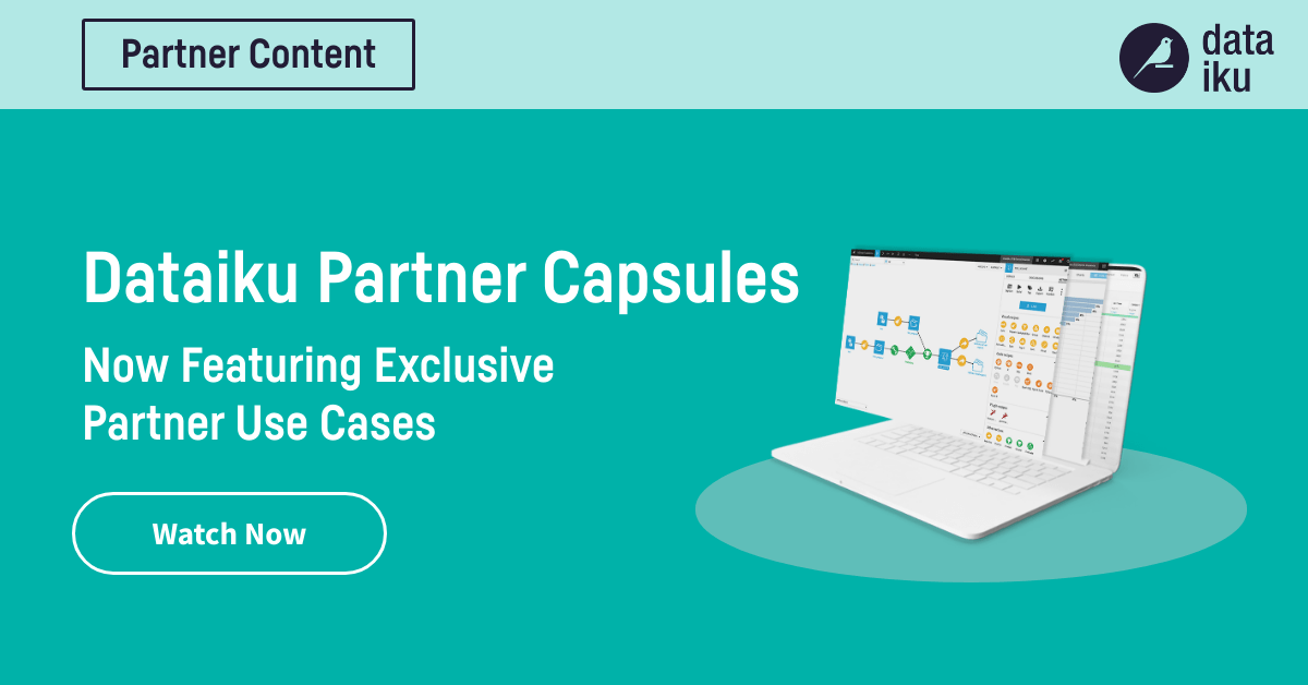 Dataiku Partner Capsules